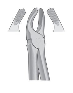 Forceps Fig 17 Upper Molars - Fedior®